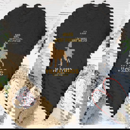 Villalobos Rescue Logo