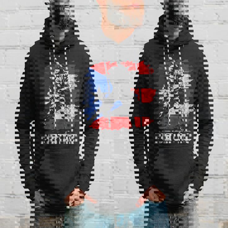 Puerto Rican Baseball Player Puerto Rico Flag Baseball Fans Hoodie | Mazezy