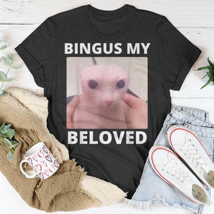 Bald Bingus My Beloved Hairless Sphinx Cat Unisex T-Shirt | Mazezy