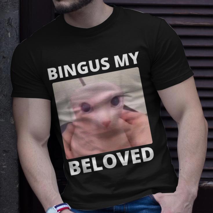 Bald Bingus My Beloved Hairless Sphinx Cat Unisex T-Shirt | Mazezy