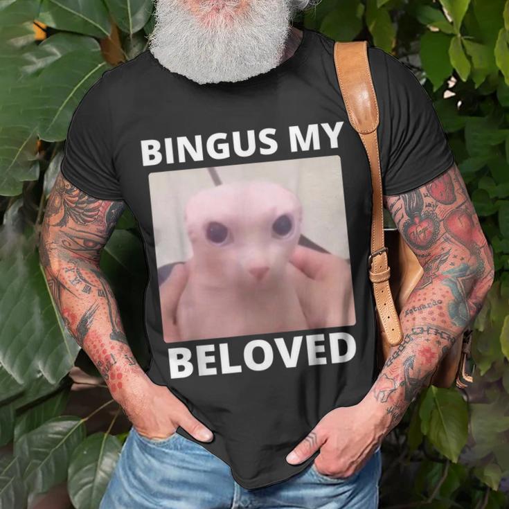 Bald Bingus My Beloved Hairless Sphinx Cat Unisex T-Shirt | Mazezy